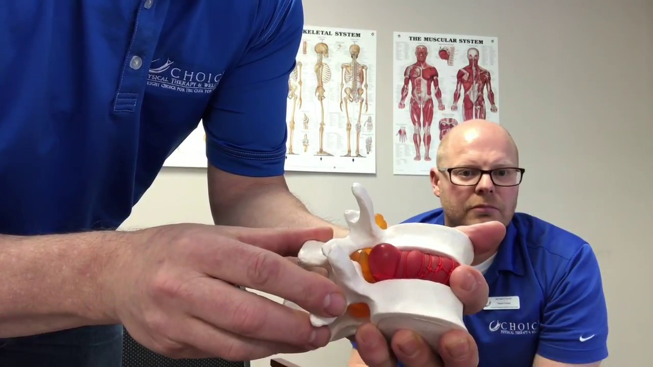 Basic Spinal Disc Mechanics - YouTube