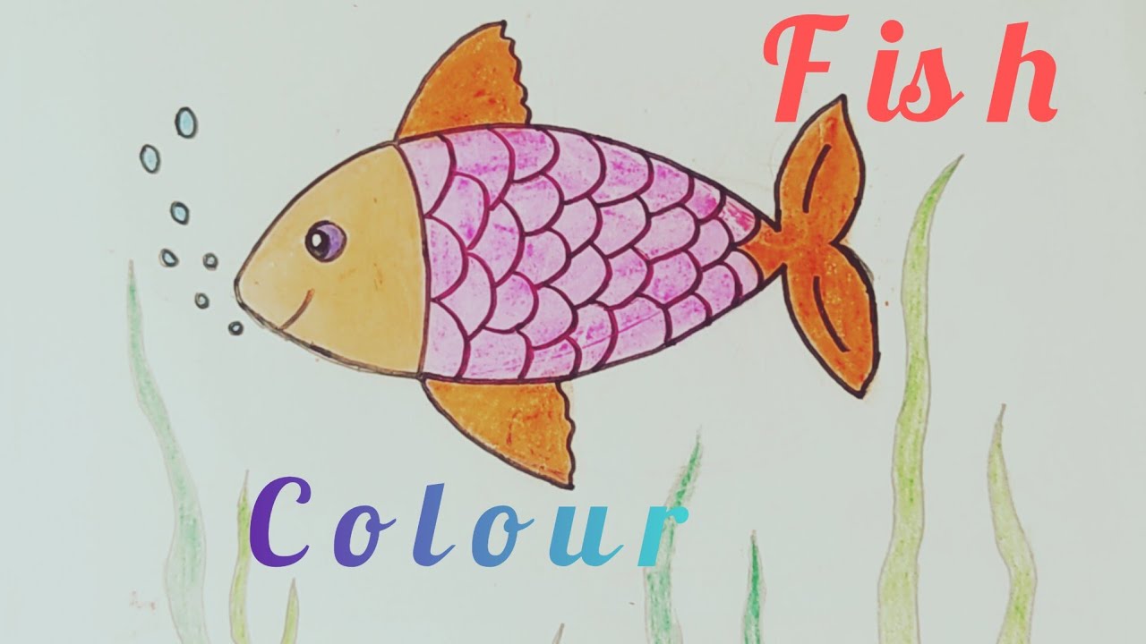 How to draw a colour fish | easy fish drawing | - YouTube