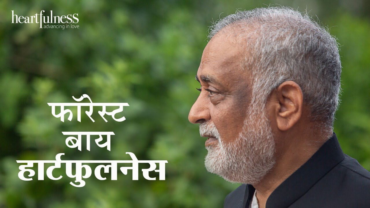 फॉरेस्ट बाय हार्टफुलनेस | Forest by Heartfulness | Daaji - YouTube