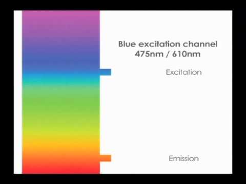 Nexcelom Cellometer Auto X4 - YouTube