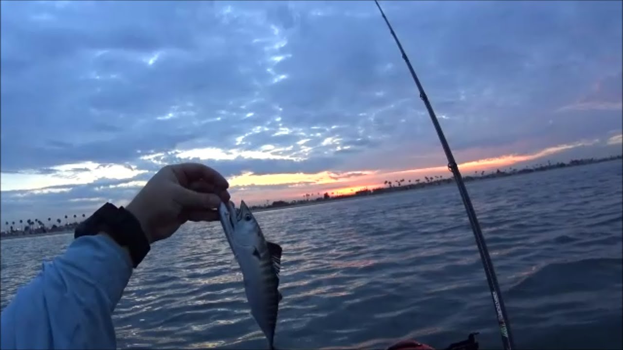 Kayak Fishing, Island Chaffee - YouTube