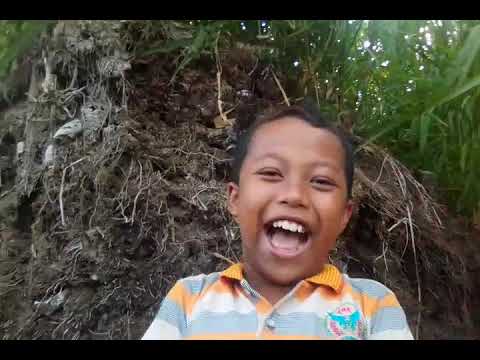 bocah edan