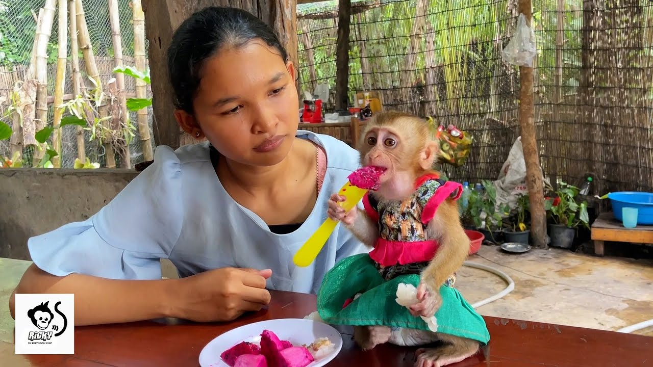 Wow Amazing Ricky Monkey Using the Spoon to Eat Professionally - YouTube