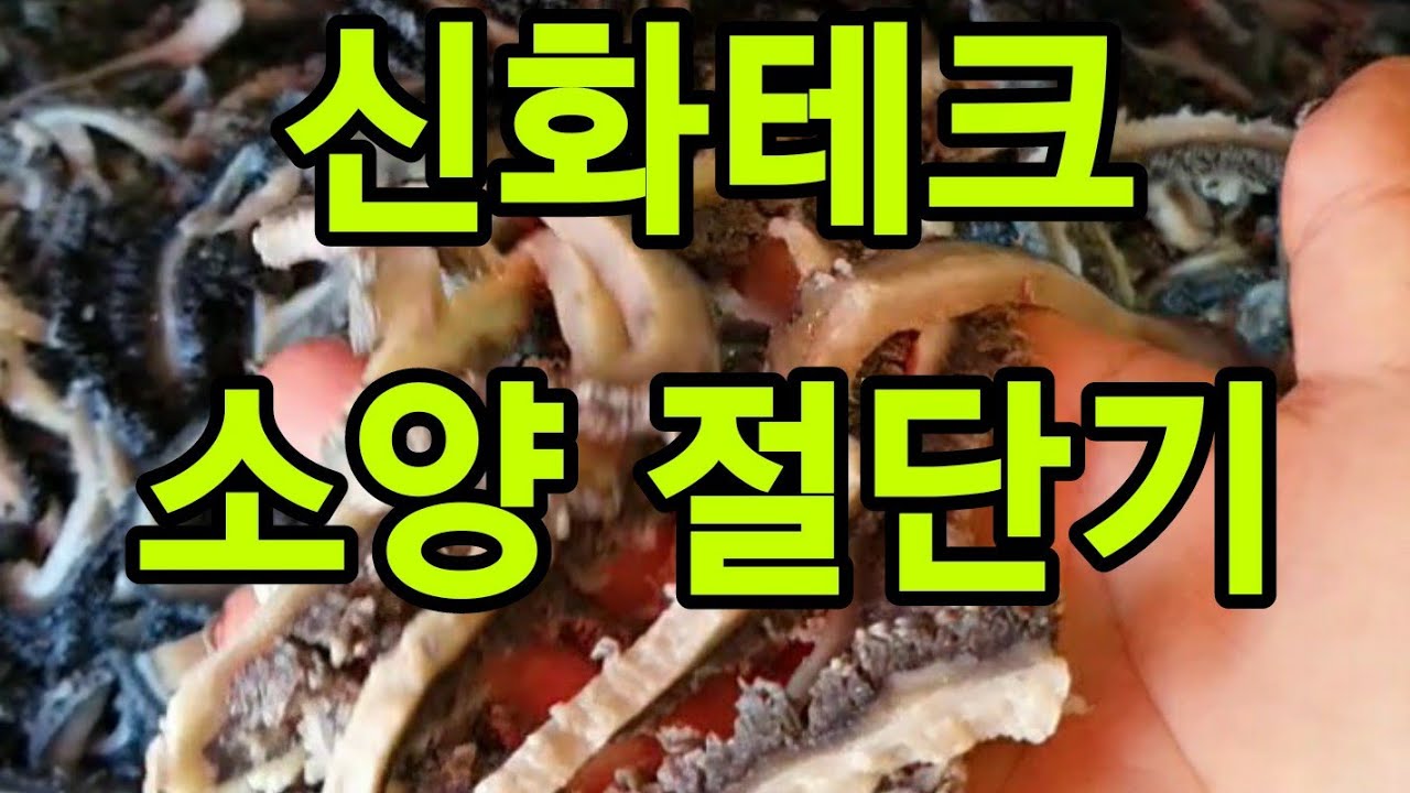 소양절단기 소양세절기 소양자르는기계 소양써는기계 소양기계 소양짜르는기계 소양슬라이스 신화테크 Youtube