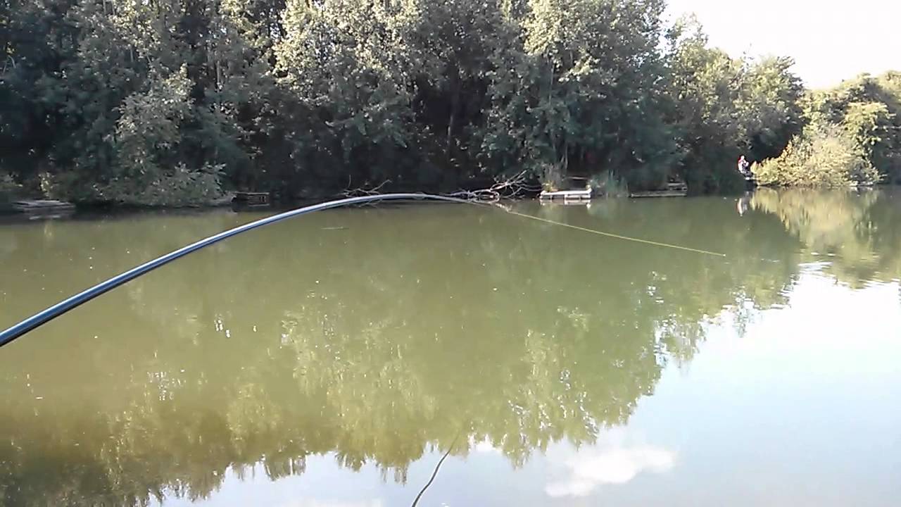 Loosing the fight with a big carp at the Trap Buck - YouTube