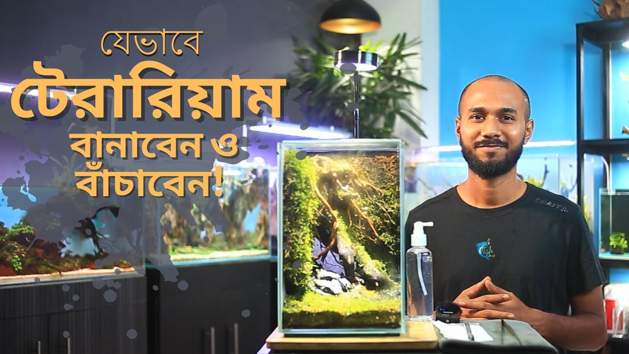 Terrarium Making & Care || টেরারিয়াম যেভাবে বানাবেন ও বাঁচাবেন ...