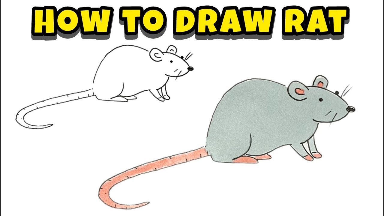 How to Draw Rat Quick And Easy – Unveil the Magic of Drawing with ...