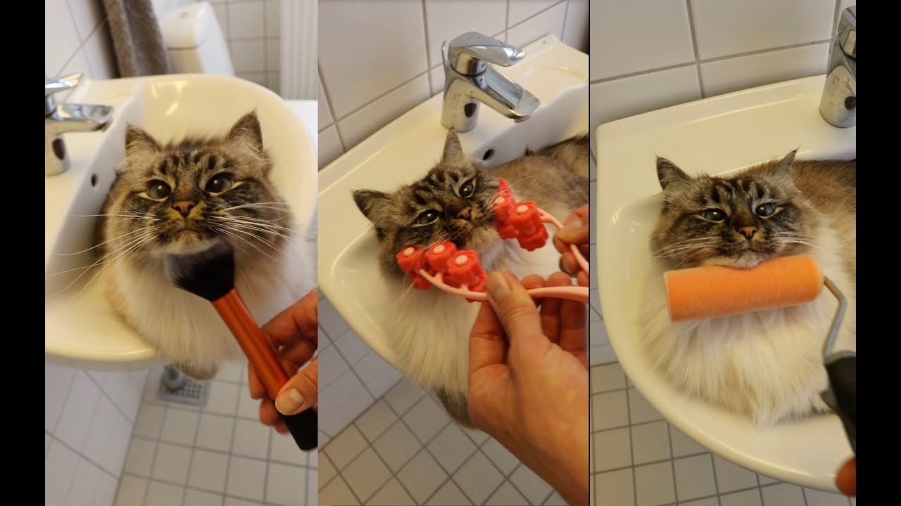 Queen Nelly Is Revealing Her Beauty Tips | Secret Life Of Nelly - YouTube