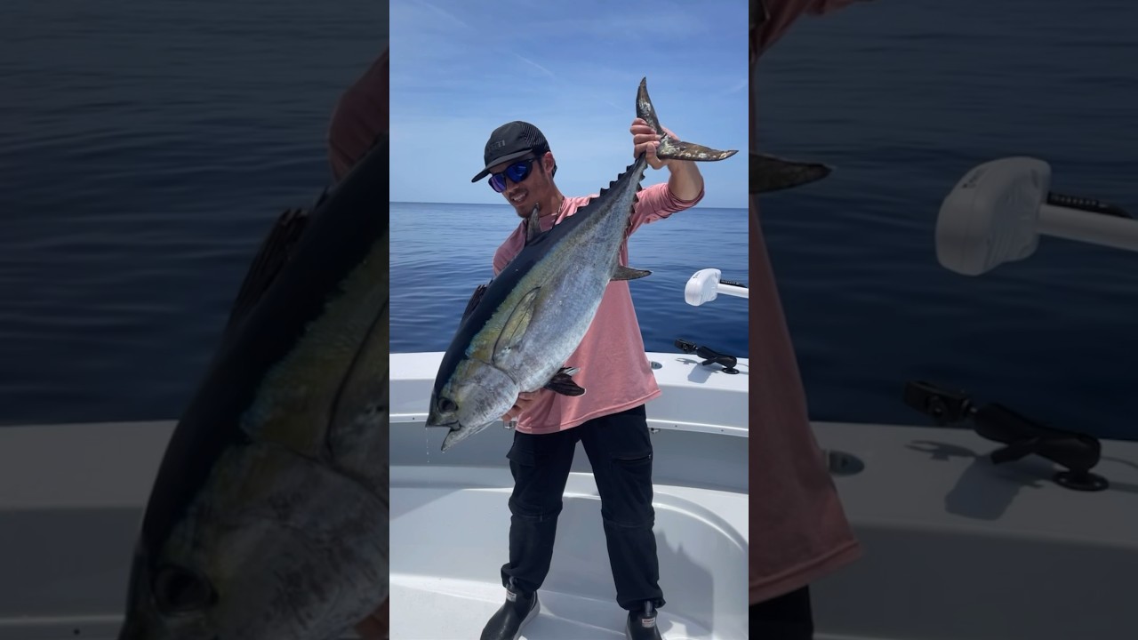 Lucky catch! 40lbs blackfin on the snapper rod. 20lbs leader. GOM 🤯 # ...