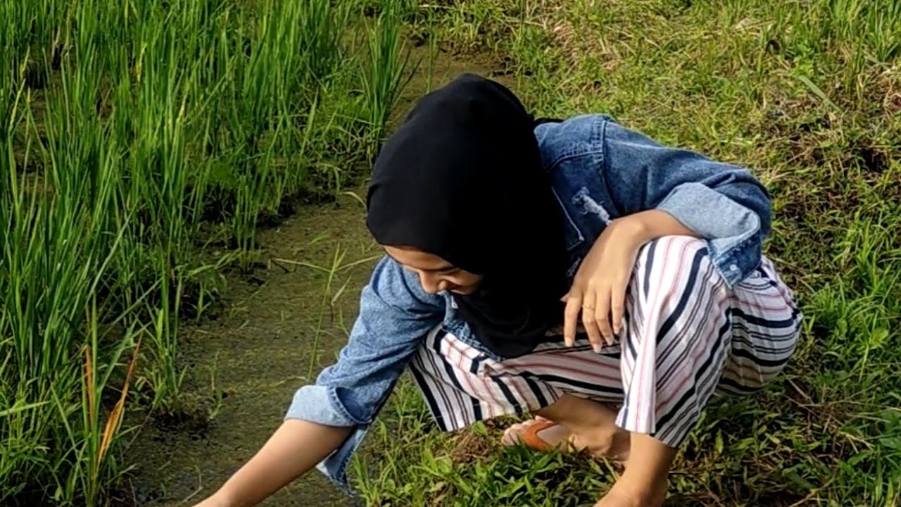 GADIS DESA CANTIK NENG ANGGI MAIN DI TENGAH SAWAH - YouTube
