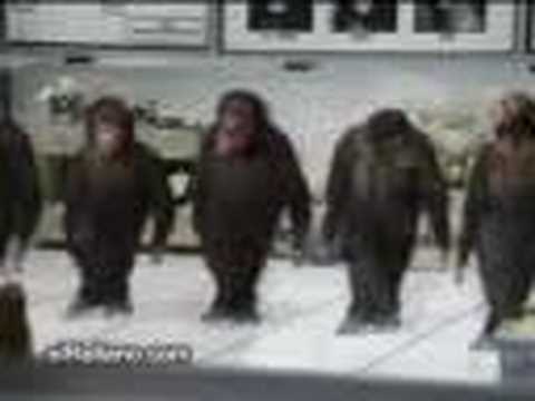 laz maymunlar cok komik spesyial version sallama sürmene