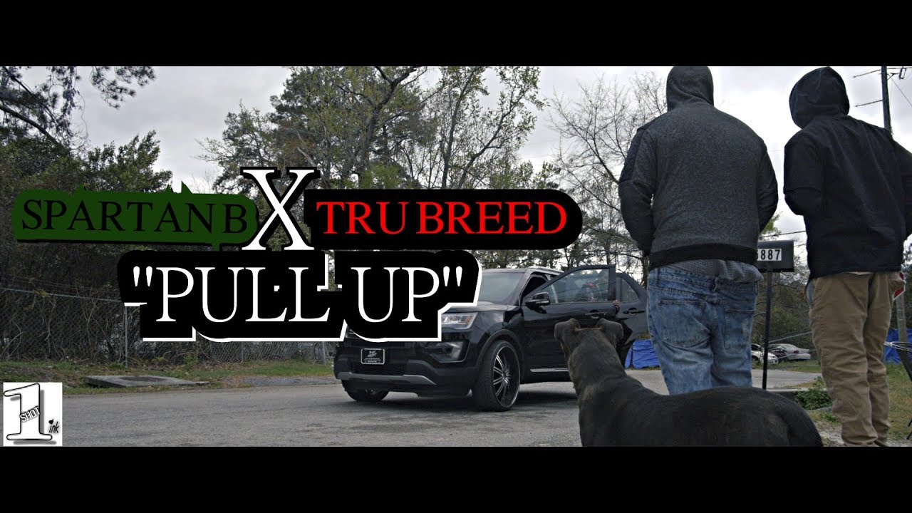 SPARTAN B X TRU BREED ''PULL UP'' - YouTube