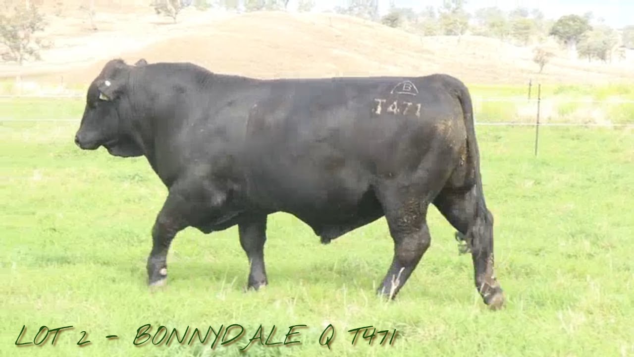 Balonne Lot 2 T471 - YouTube