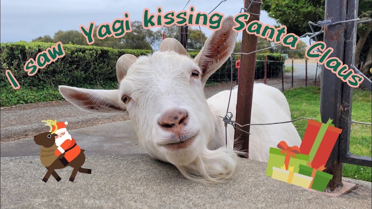 I saw yagi kissing Santa Claus Feat.やぎのみなさん - YouTube