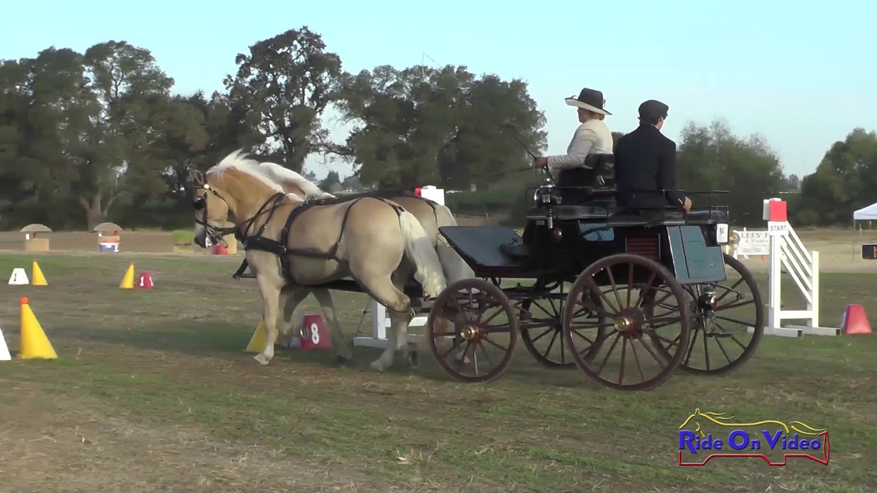 084C Deb Packard Intermediate Pair Pony Cones Sargent CDE August 2017 ...