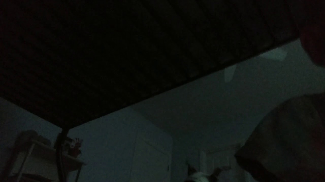 The licker - YouTube