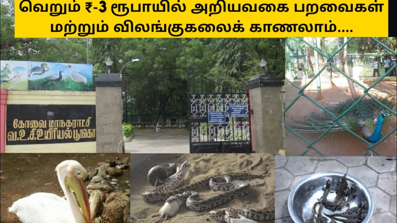 voc park in coimbatore/voc park zoo/animal park/kids park in coimbatore ...