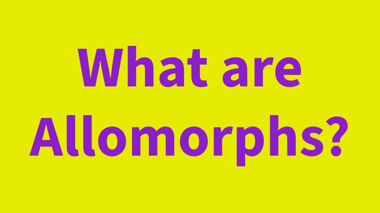What are Allomorphs - YouTube