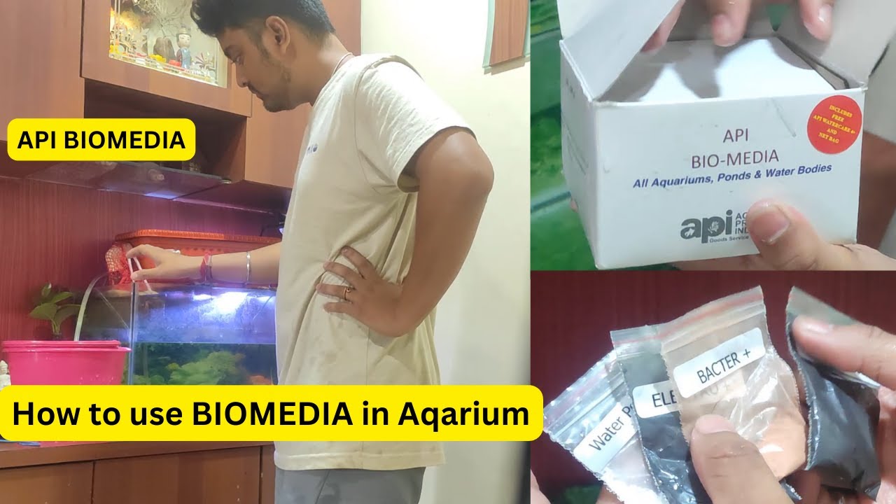 Mayur Dev Aquascaper |How I clean Aquarium and use API Bio Media ...