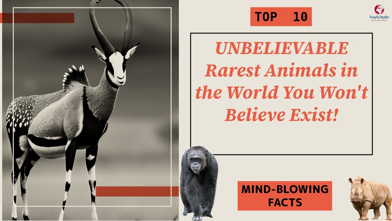 Top 10 Rarest Animals in the World You Won't Believe Exist! - YouTube