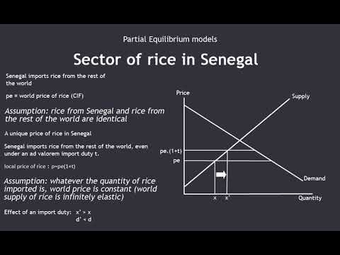 Partial Equilibrium models: an introduction - YouTube