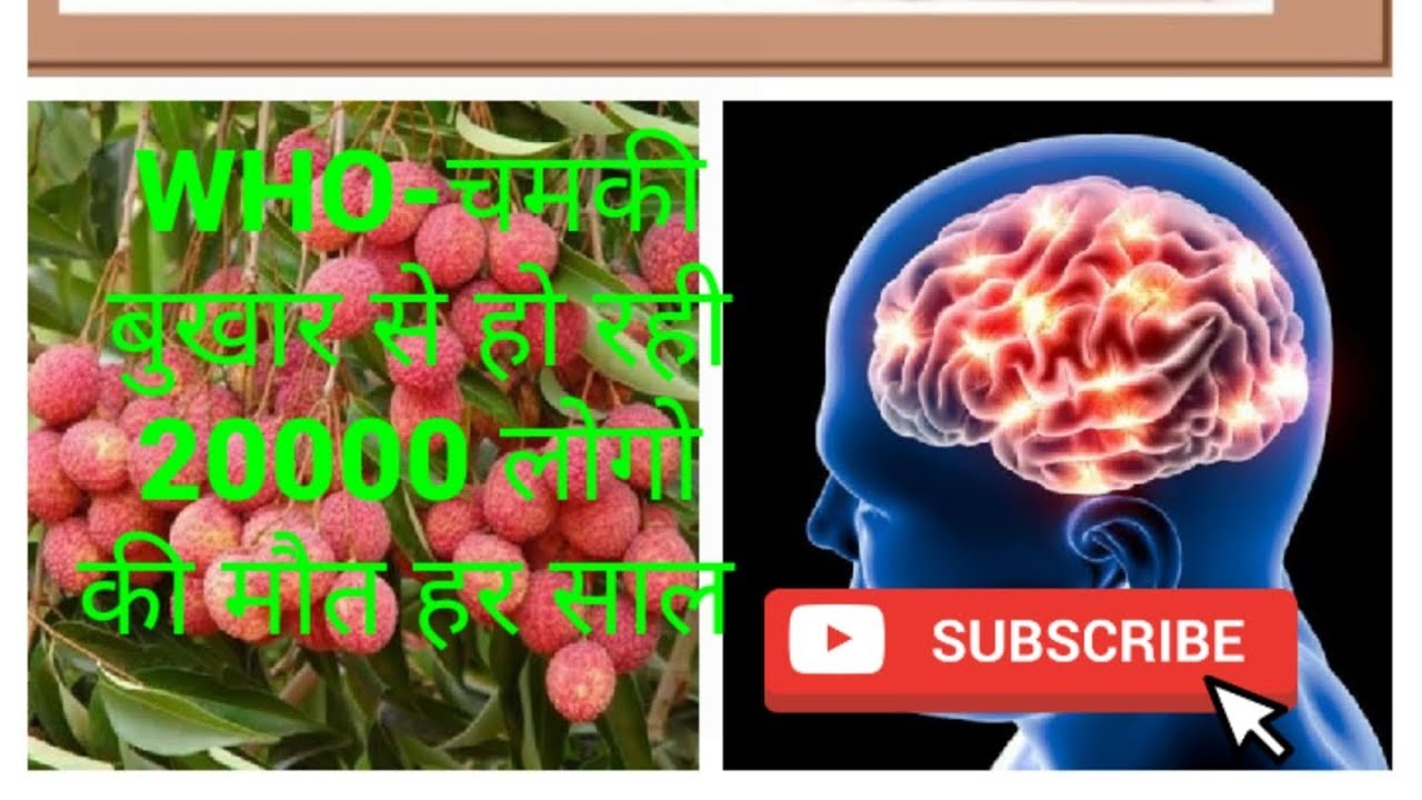 Chamki fever kya hai , चमकी बुखार , acute encephalitis syndrome kya hai ...