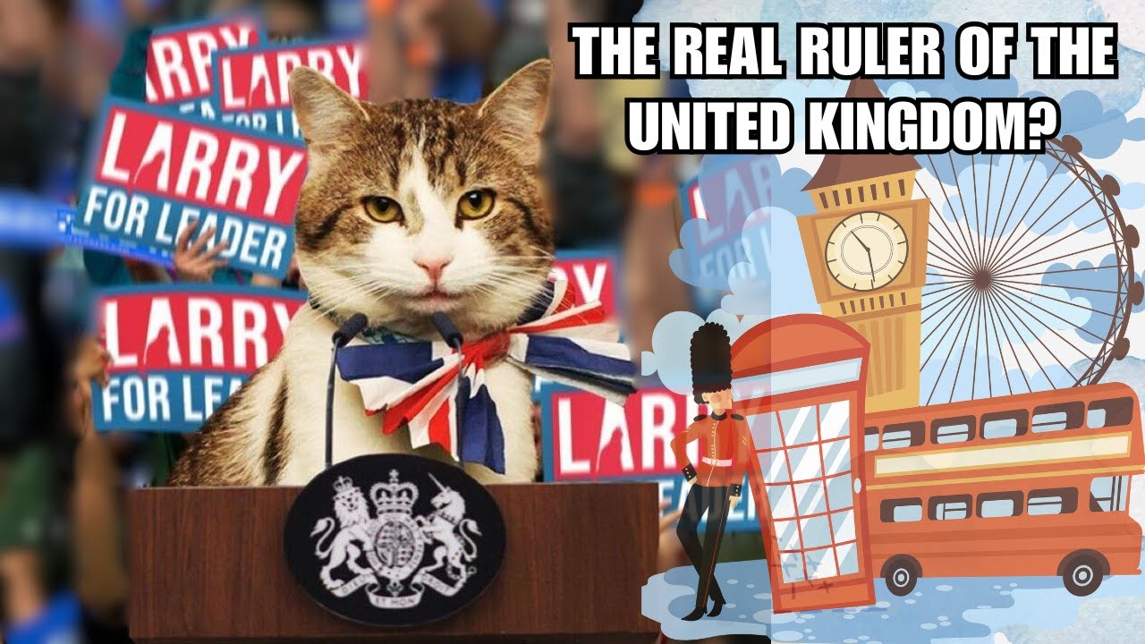 Inside the 10-Year Political Saga of Larry the Cat - YouTube