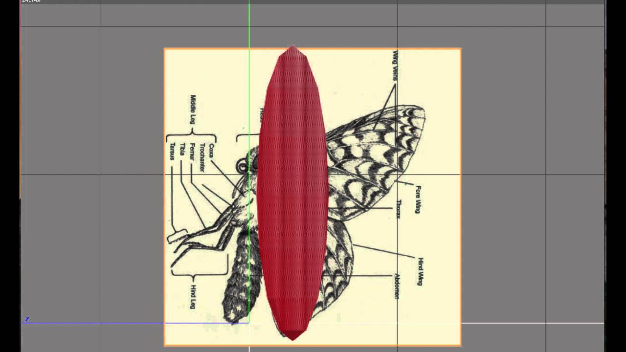 Wings3D - Modelado con una imagen de referencia - 02 - YouTube