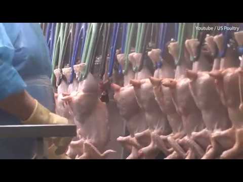 An inside look at 'chlorine washed' chicken process used in US - YouTube