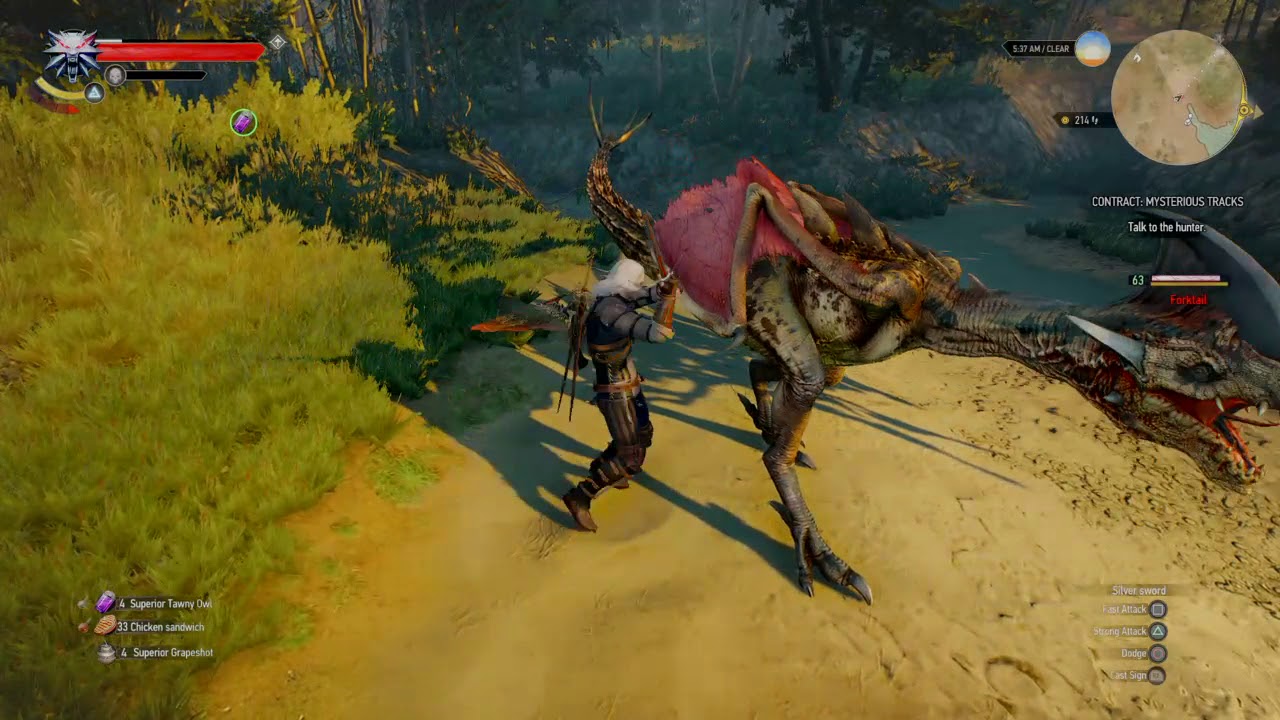 The Witcher 3 NG + defeating a forktail - YouTube