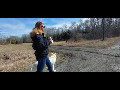 Walking Around With Angie & Her Dog on a Path Part 9. PT1. - YouTube