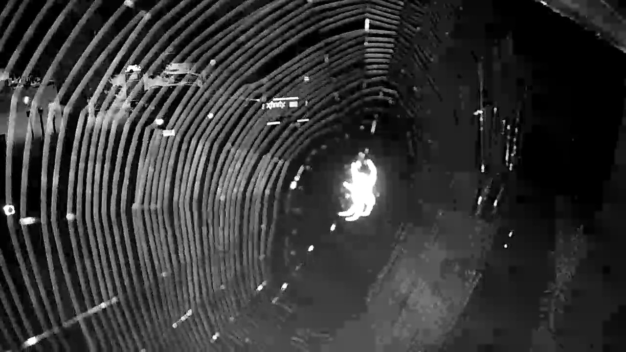 A BIG SPIDER WEB ON MY CAMERA - YouTube