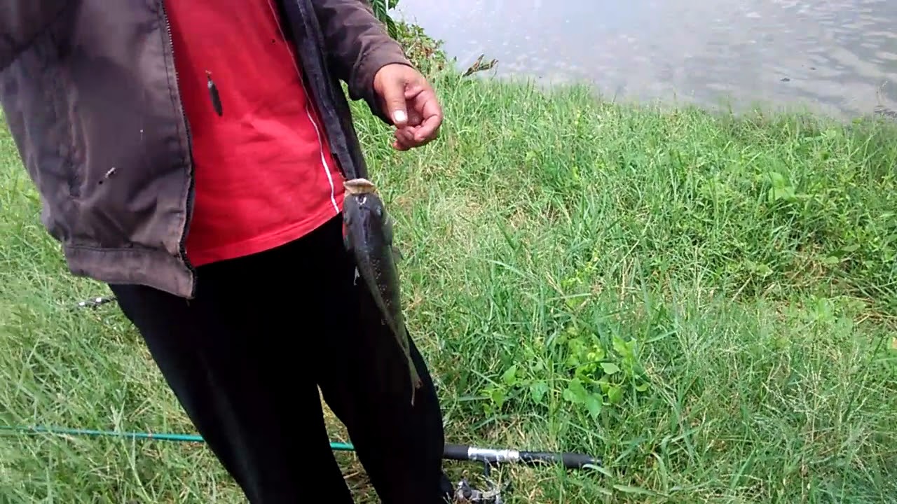 Mancing mania mantap - YouTube