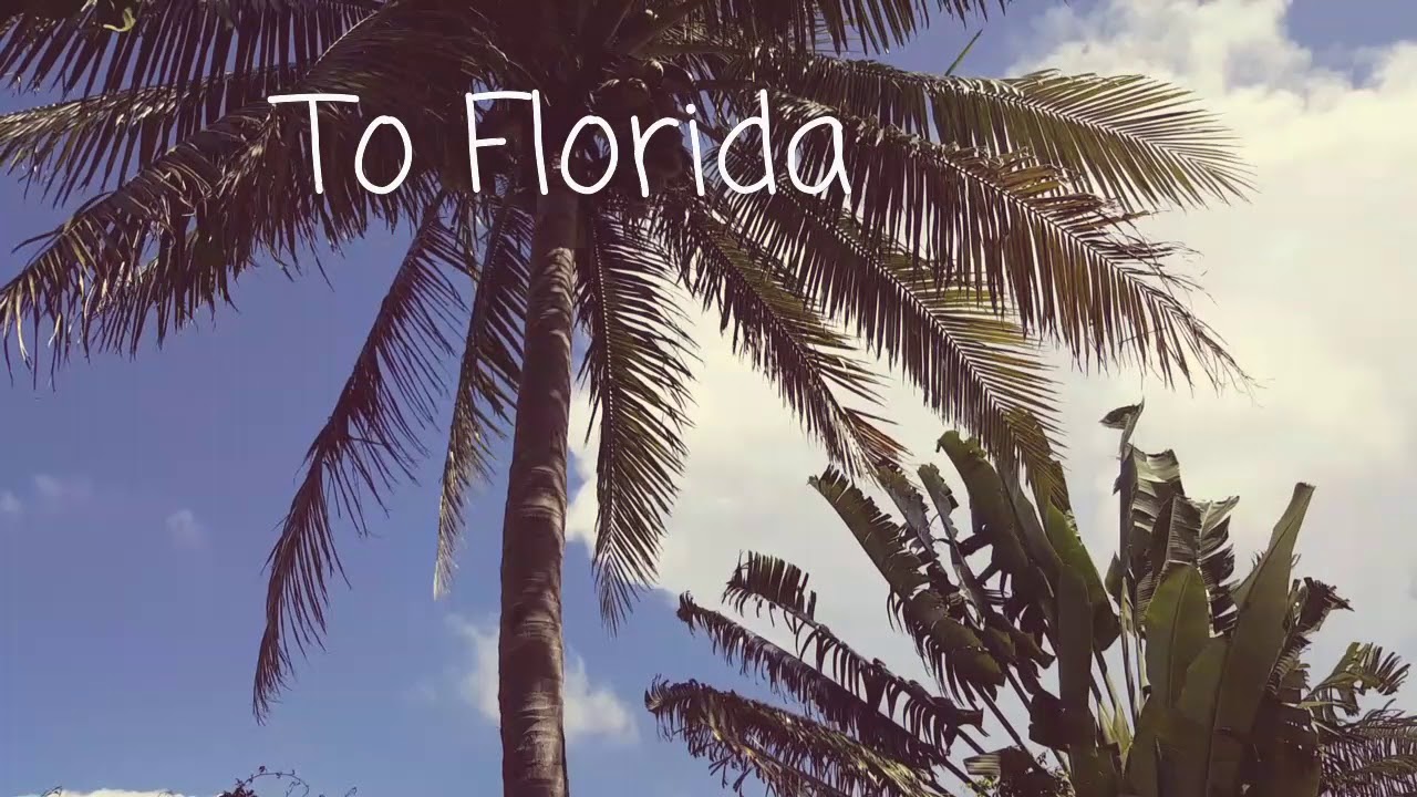 Little Orange House 2 - YouTube