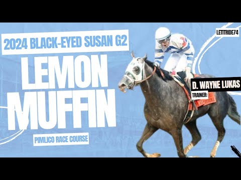 Lemon Muffin 2024 Black Eyed Susan Preview - YouTube