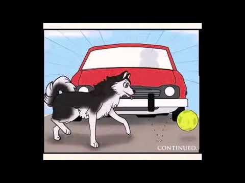 Anlamlı Bir Animasyon - A Meaningful Animation