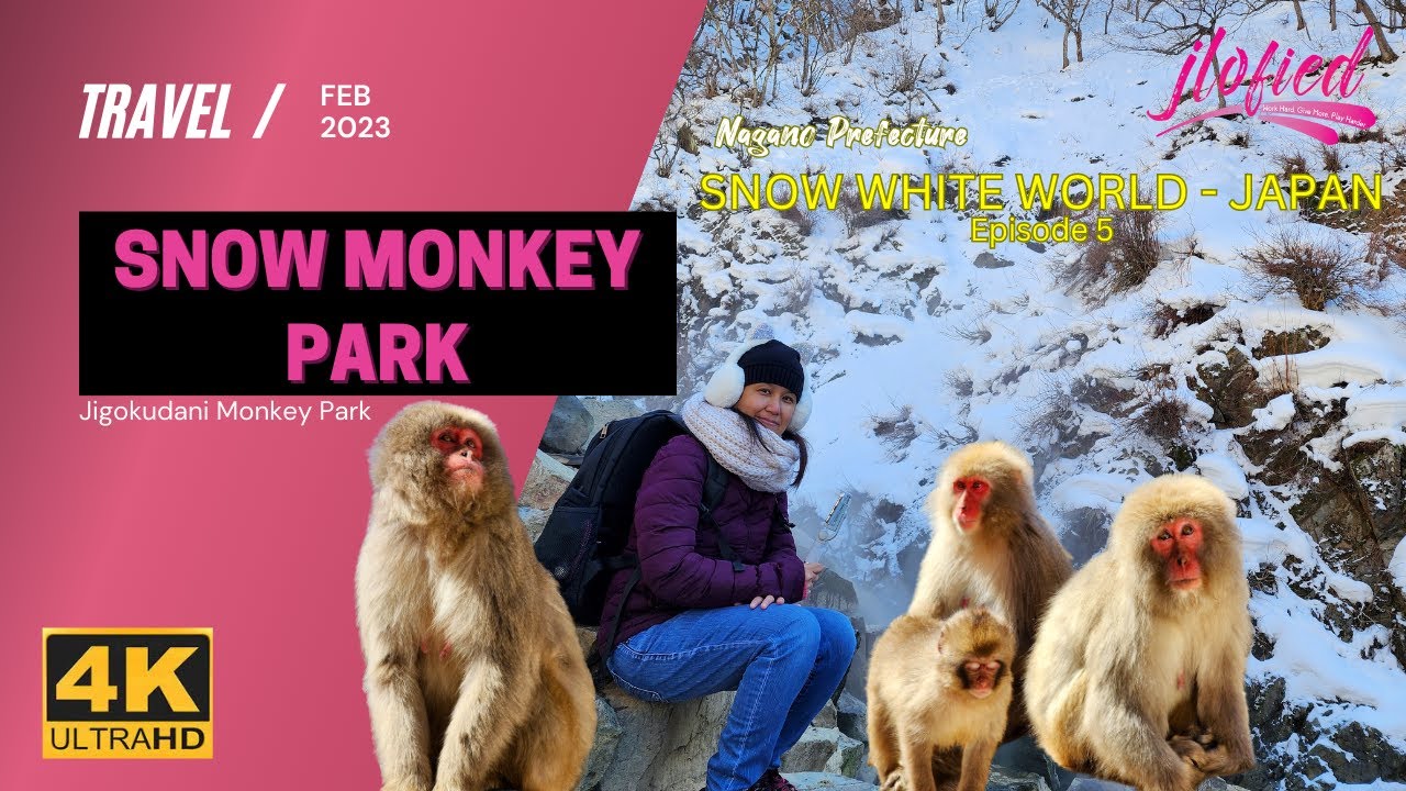 JIGOKUDANI SNOW MONKEY PARK | NAGANO PREFECTURE JAPAN - YouTube