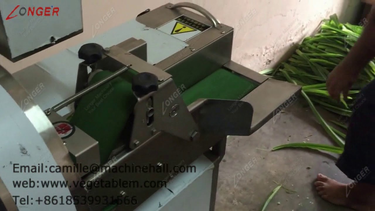 Automatic Vegetable Dicer Machine|Celery Cutting Machine Supplier - YouTube