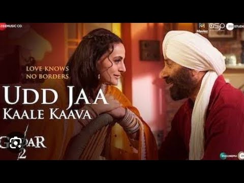 Udd jaa kaale kaava // #video #viarl