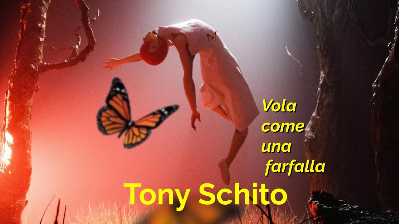 VOLA COME UNA FARFALLA TONY SCHITO - YouTube