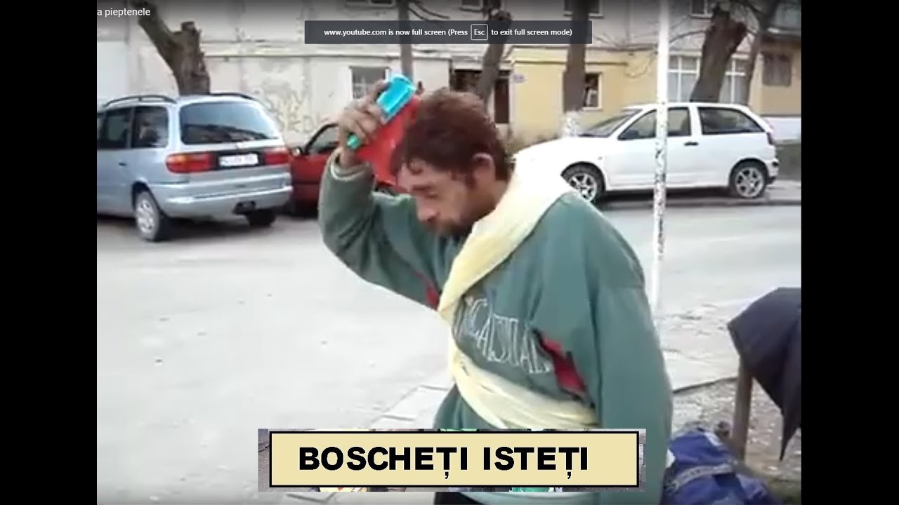 Un boschetar care cauta pieptenele - YouTube