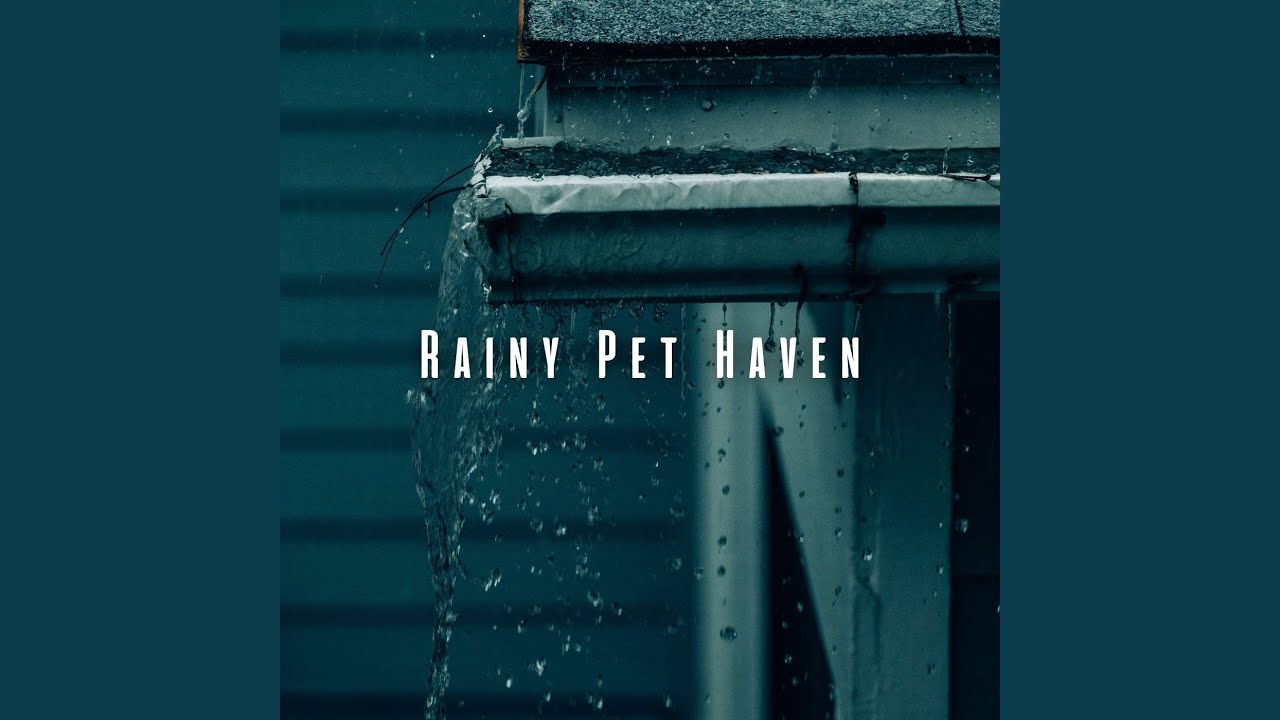 Rainy Muse Melodies - YouTube