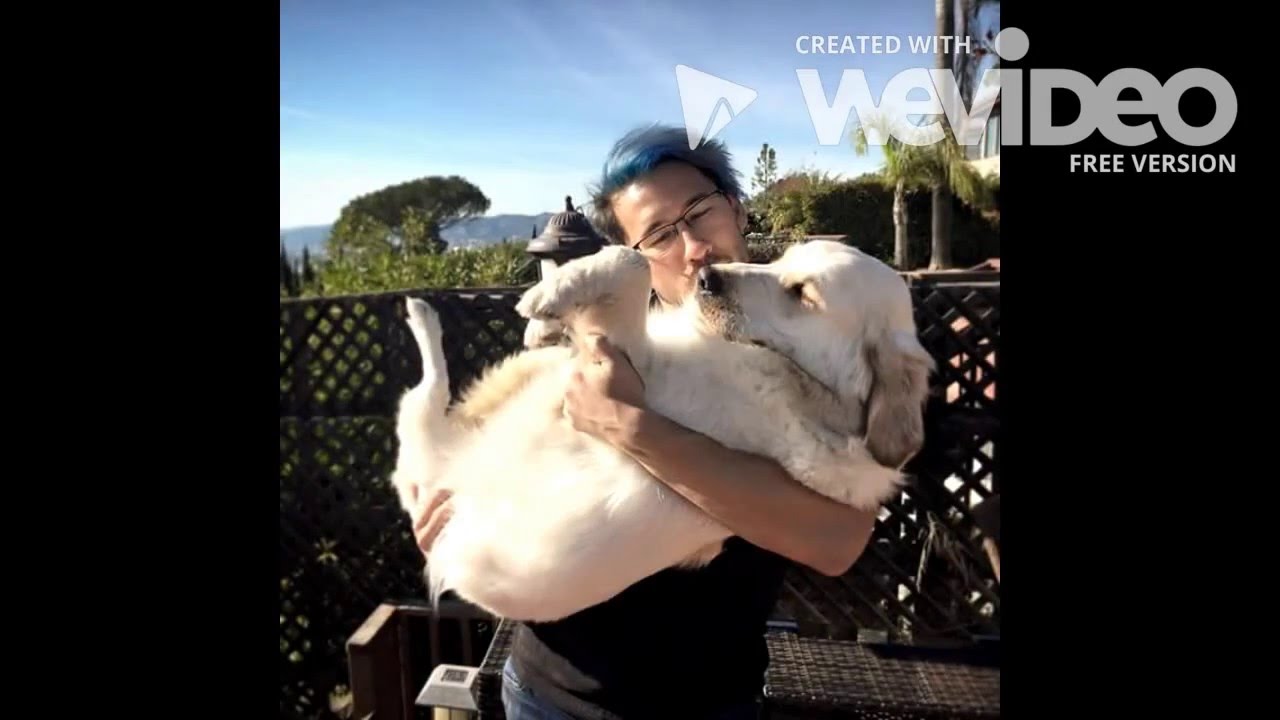 Evolution of Markiplier!! - YouTube