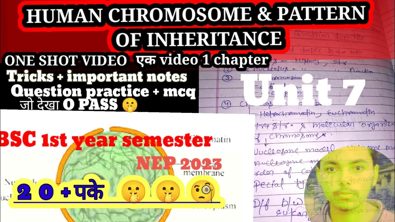 Human Chromosome & Pattern Of Inheritance One Shot ||Bsc 1 year 1 semester important question # ...