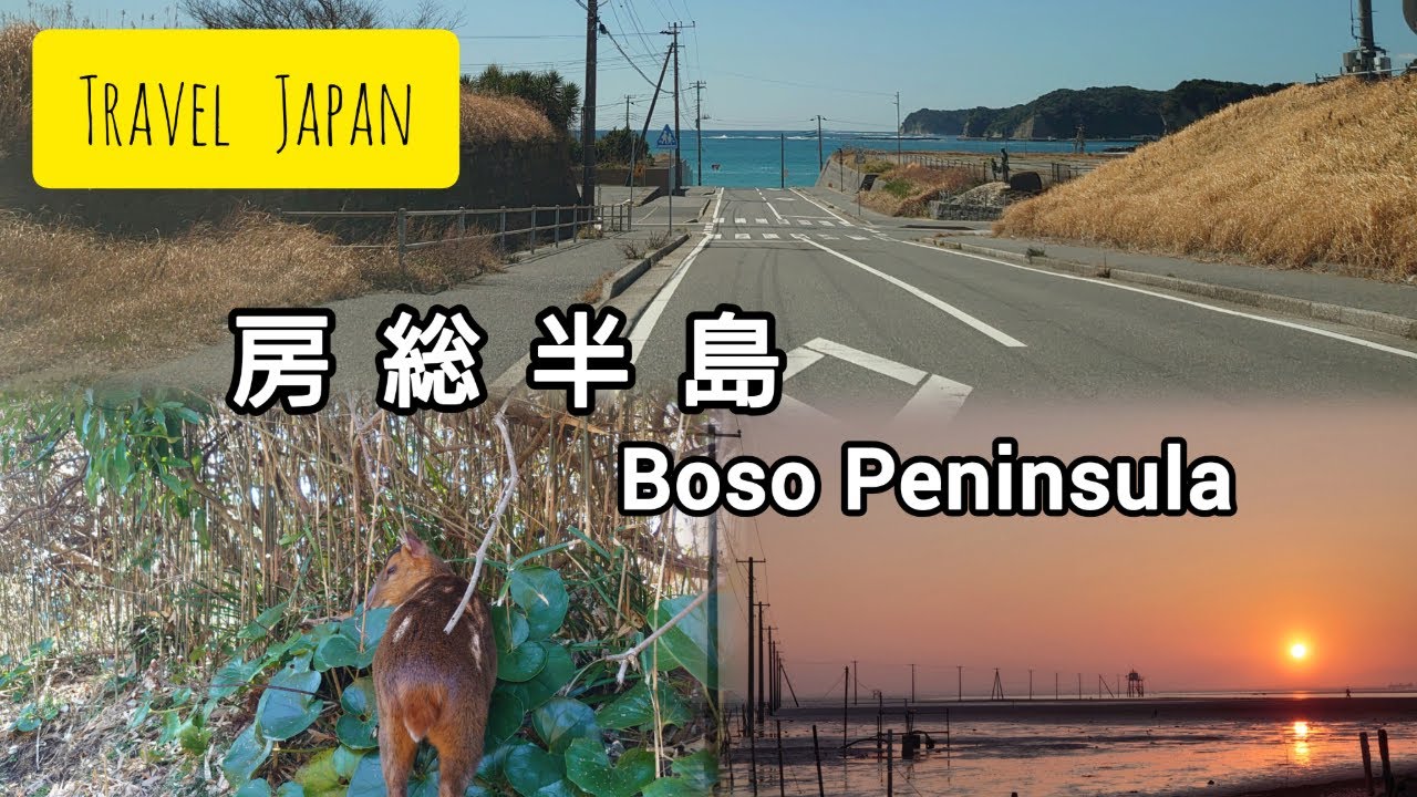 【Chiba(Boso Peninsula)】It's spring so I went out【English and Japanese ...