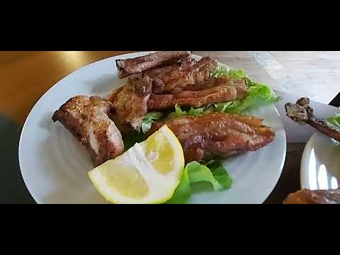 Restaurant Villa Mema - Bobostic - Korce Albania