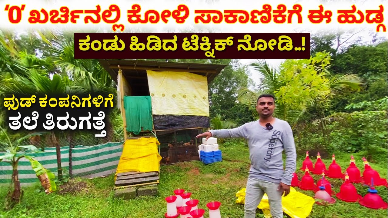 Zero budget nati koli farming in Karnataka | natural poultry sheep ...