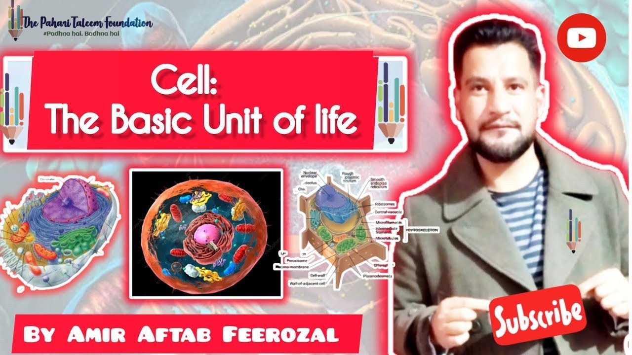 Cell : The Basic Unit of life || Cell Structure and Function || UPSC ...