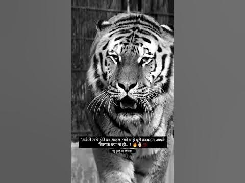 shah ka rutba status #shorts #status #whatsappstatus #attitudestatus # ...