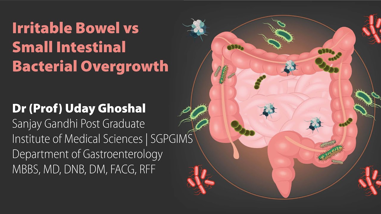 Irritable Bowel vs Small Intestinal Bacterial Overgrowth || Dr (Prof ...